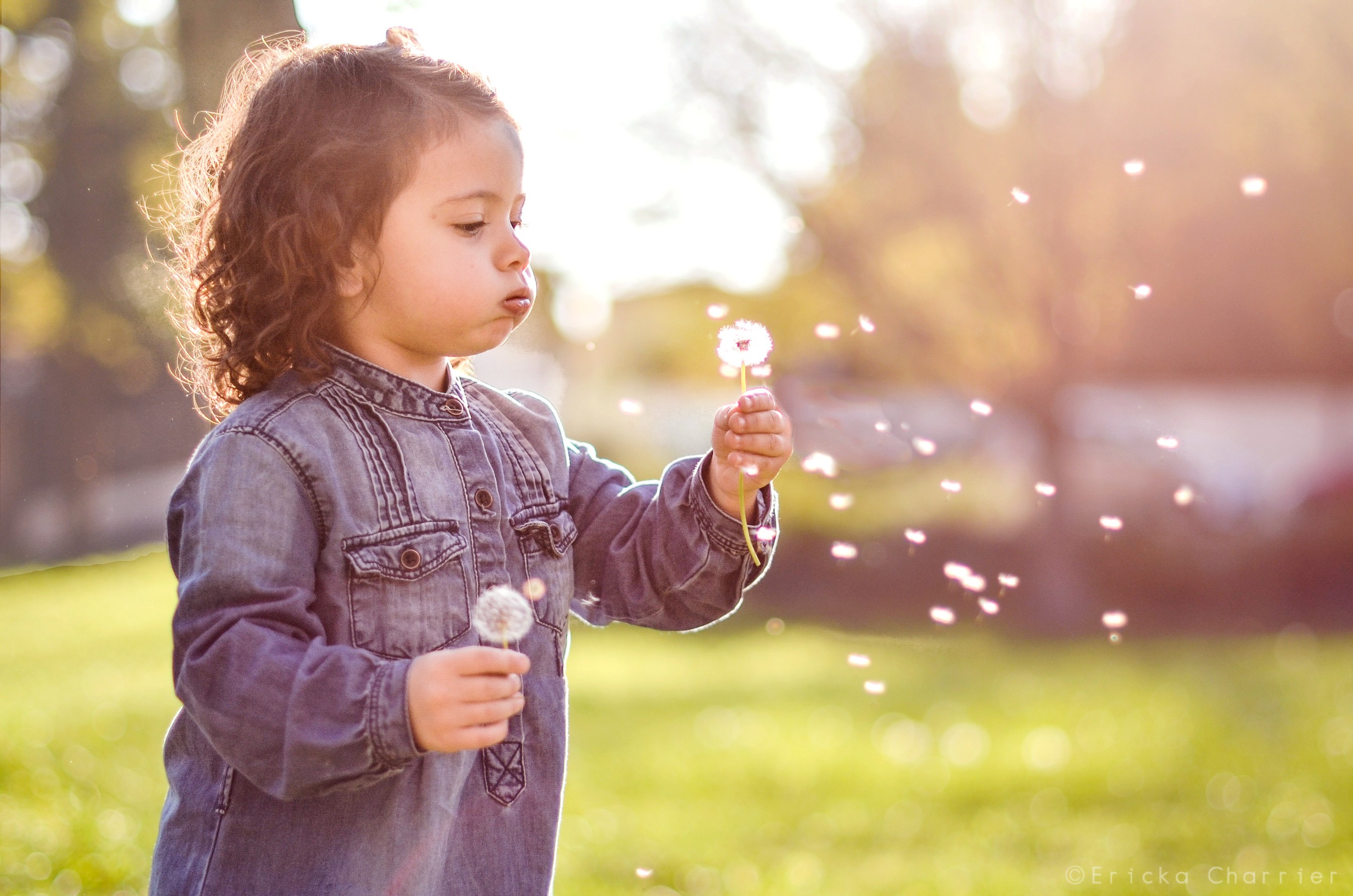 Photographe enfants et animalier