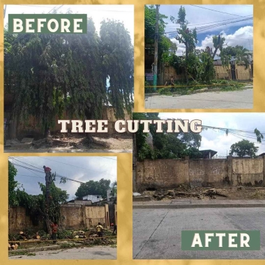 The 10 best pruners in Manila - Last Updated April 2026 - StarOfService